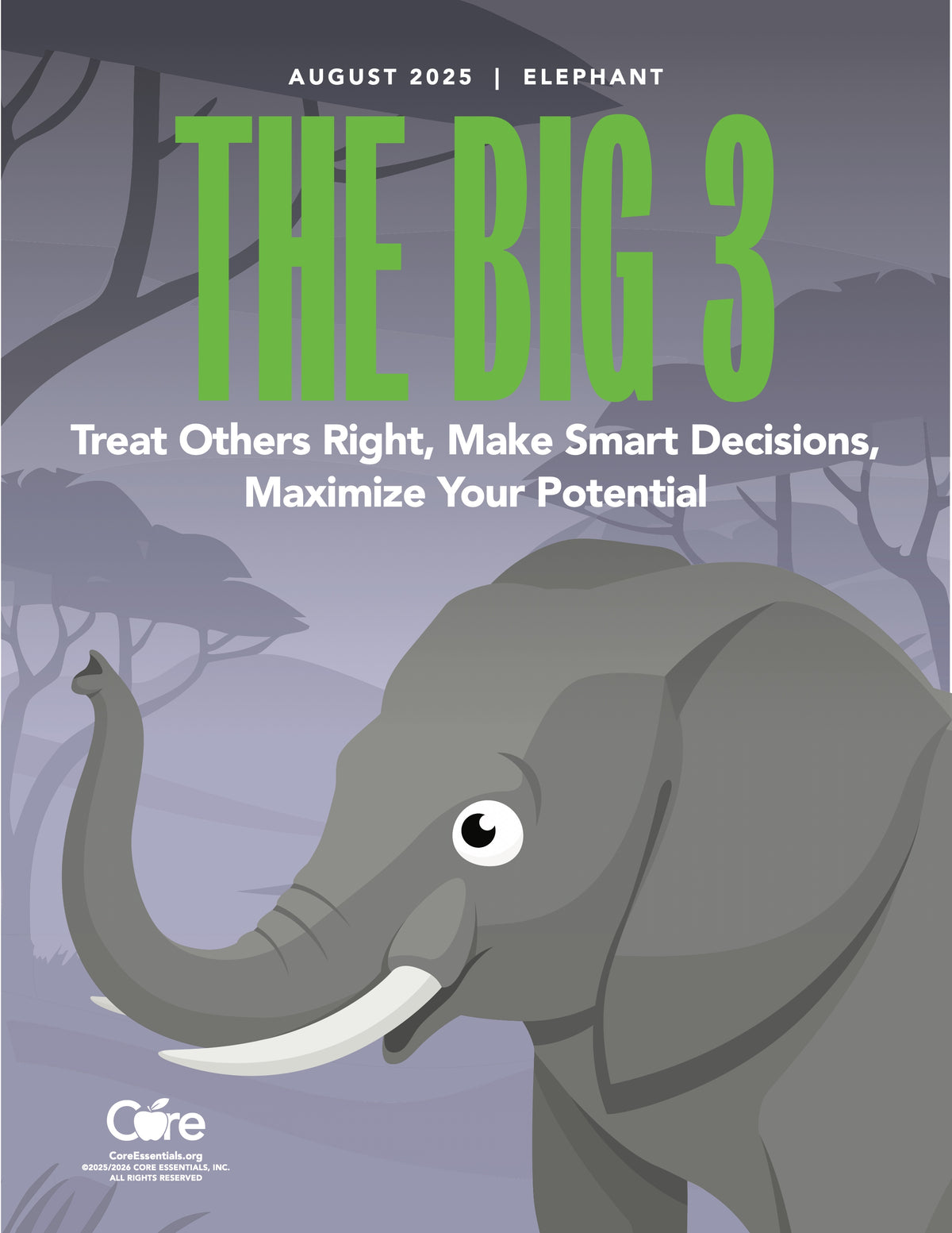 PDF ONLY to SELF PRINT 2025-2026 INDIVIDUAL Values POSTERS | Core ...